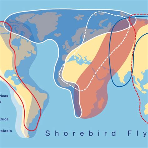 Pdf The Flyway Concept What It Is And What It Isnt