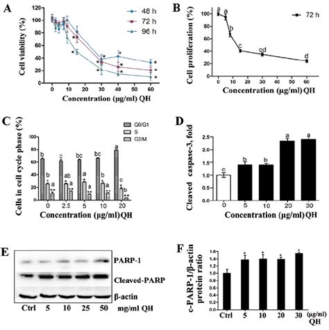 Effects Of Quercetin And Hyperoside Qh On Cell Death In 786 O Cells