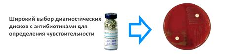 Вильсон блера среда инструкция