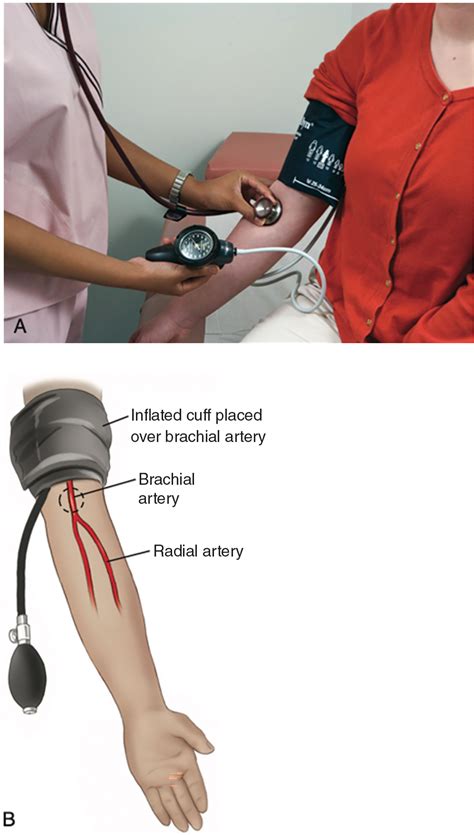 Essentials Of Patient Care For The Sonographer Clinical Tree