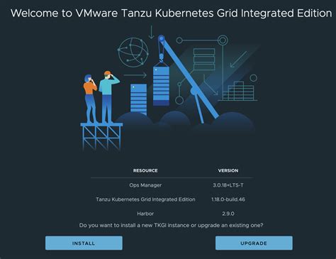 Tkgi With Nsx And Nsx Advanced Loadbalancer ·