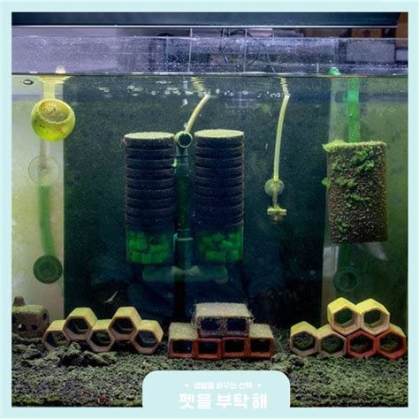 장단점과 설치방법 알려드려요 어항여과기 네이버 블로그