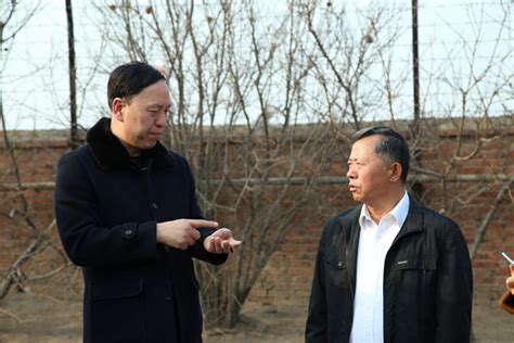 李建忠书画 书画 大家书画 大山谷图库