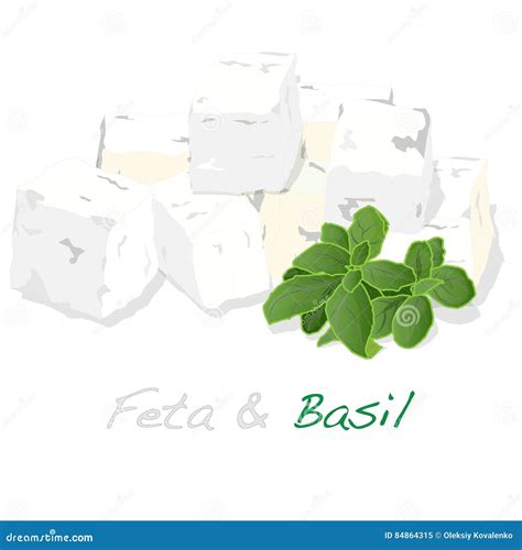 Greek Feta Cheese Blocks Stock Vector Illustration Of Gourmet 84864315