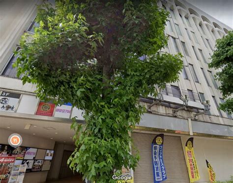 厚木市中町2 4 13本厚木駅 本厚木駅前ビルの賃貸オフィス・貸店舗 物件詳細｜貸事務所biz 54823