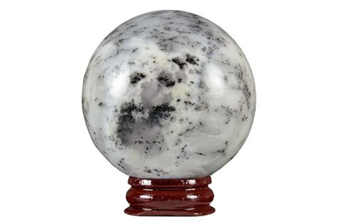 2 3 Polished Dendritic Agate Sphere Madagascar 218917 For Sale