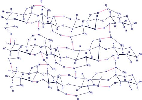 Hydrogen Bond Networking Between Cellulose Chain Molecules [27 51