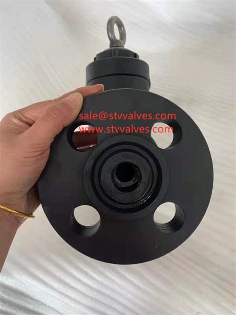 API 602 Integral Flange Swing Check Valve China Valve Manufacturer STV