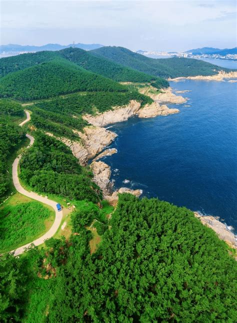 刘公岛景区推出游览车新线路——“大环岛生态观光线路”山海平台梅花鹿