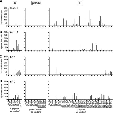individual variation of cd4 ϩ t cell responses cd4 ϩ t cell responses