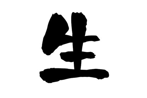 日本が大好きなラトビア人漢字の生の読み方が多すぎて撃沈ww