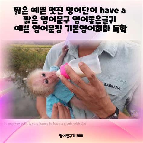 짧은 예쁜 멋진 영어단어 Have A 짧은 영어문구 영어좋은글귀 예쁜 영어문장 기본영어회화 독학 네이버 블로그