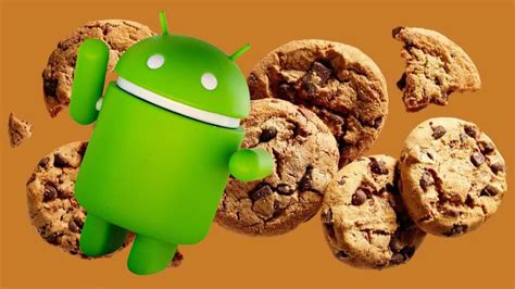 Cómo Borrar Las Cookies En Android Tecnoguia