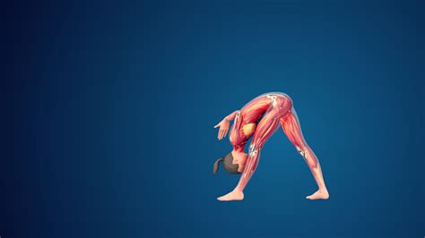 3d 인간 Parsvottanasana 변형 팔이 역 나마스카르 요가 파란색 배경에 포즈를 취하다 3차원 형태에 대한 스톡 사진