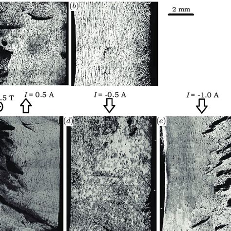 Directionally Solidified Sn 10wtpb Alloy At V 10 µms Under The 05