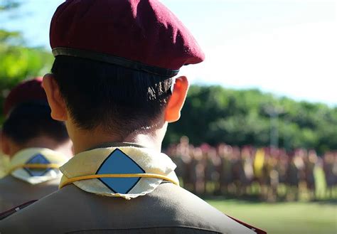 Scout Sunday February 8 2026 National Today