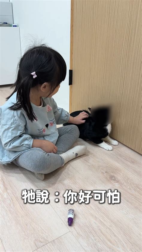 營養師品瑄 嗨大家～今天跟大家分享一位新朋友：oreo 🐈‍⬛ 牠是一隻很美的 賓士貓 因為牠一直在友人的家樓下附近徘徊，而且眼睛又
