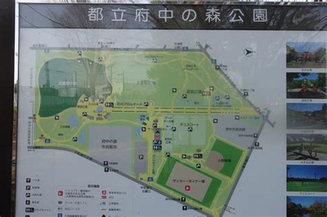 府中の森公園へのアクセス方法と駐車場は？ 歩いてみたブログ
