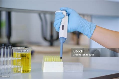 자동 파이펫으로 화학 실험실에서 일하는 과학자 파란색 장갑을 착용 Stem 주제에 대한 스톡 사진 및 기타 이미지 Stem