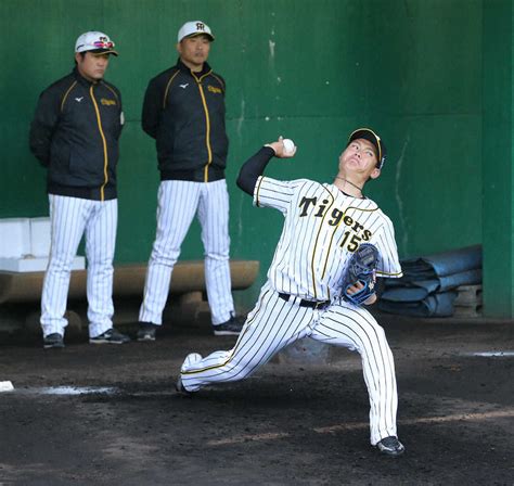 ブルペンで投球練習を行う阪神の西純（後方左から安藤コーチ、山本昌臨時コーチ） （撮影・成瀬 徹） ― スポニチ Sponichi Annex 野球
