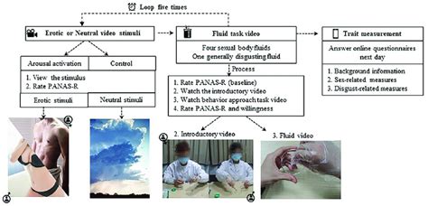 A Flowchart Presenting The Procedure Of Study 2 Download Scientific Diagram