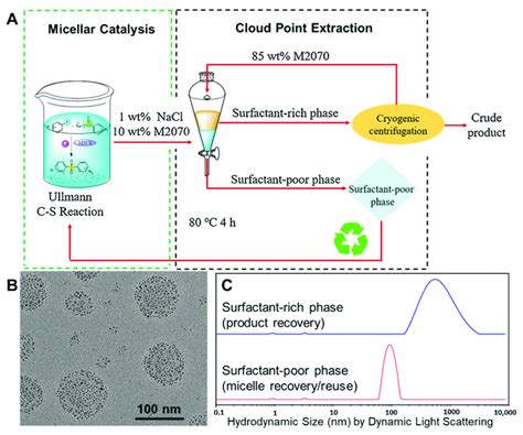 A Overview Of A Tandem Process Of Micellar Catalysis Cloud Point Download Scientific Diagram