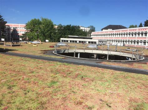 Gmt Etancheité Réalisation De Lycée Saint Cricq à Pau