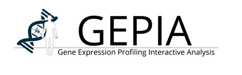 Gepia Gene Expression Profiling Interactive Analysis