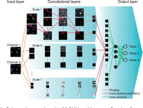 Figure 1 From A Multi‐scale Convolutional Neural Network For Phenotyping High‐content Cellular
