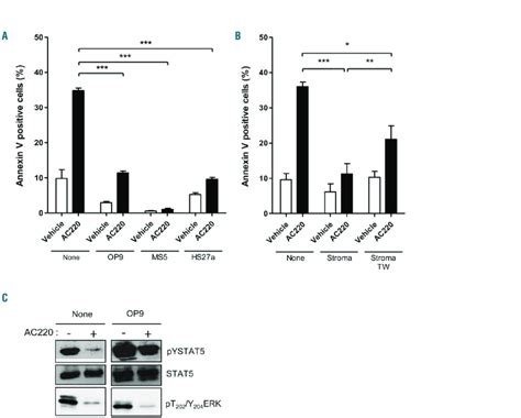 Stromal Cells Protect Mv4 11 Cells From Ac220 Induced Apoptosis And