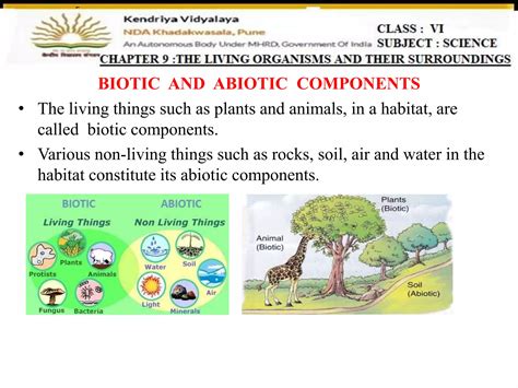 Class 6 Ppt 2 Living Organisms PPT