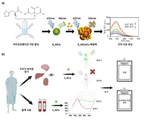 Weekly 신기술 및 정책소식 한국광기술원 6인치 Litao₃ 단결정 잉곳 성장시키는 기술 개발