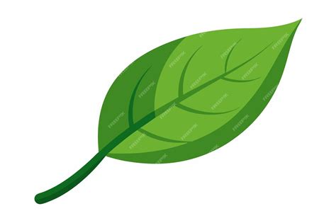 Premium Vector Cartoon Leaf Vector Art Colorful And Playful Leaf