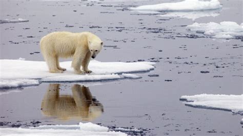 Los Indicadores Del Cambio Climático Batieron Récords En 2021 En