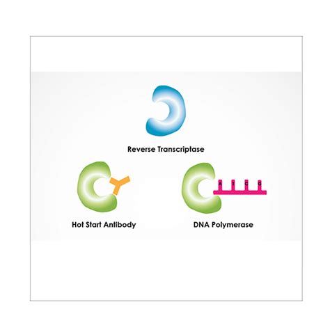 禮文股份有限公司 Mitek Lab Co Ltd