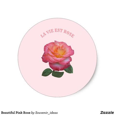 Beautiful Pink Rose Classic Round Sticker Beautiful Pink