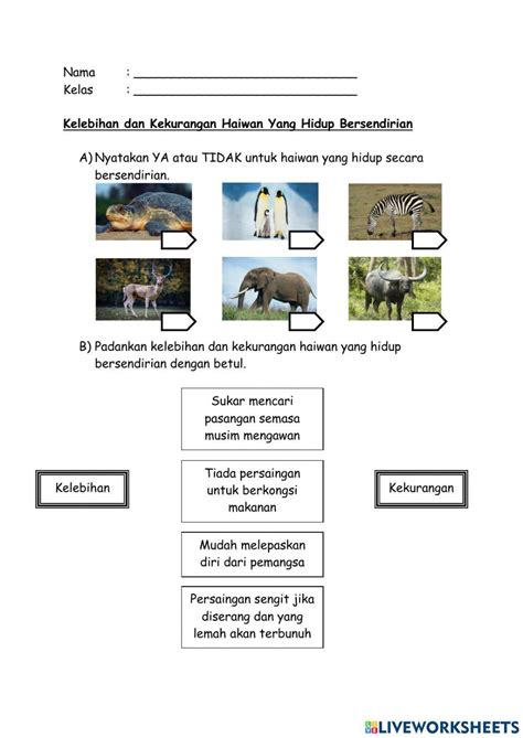 Interaksi Antara Hidupan Interactive Worksheet Live Worksheets