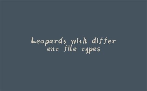Leopards With Different File Types 拾光赋