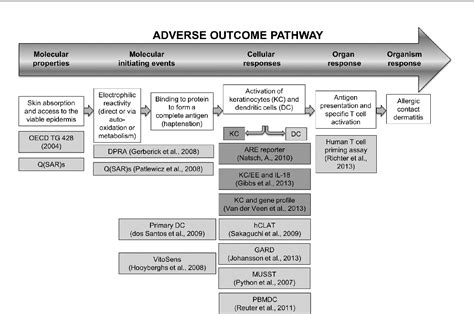 Figure 1 From Integrated Testing Strategies Its For Safety Assessment