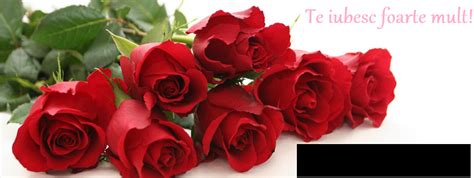 ღღάllεxinno╰╮άlεхysღღ ╰╮٥ﻻ ﻉ√٥ﺎ ٱu ╰╮ Daca Vrei Iubirea Mea Sa O Ai