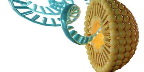 Vector Analytics Webinars Malvern Panalytical