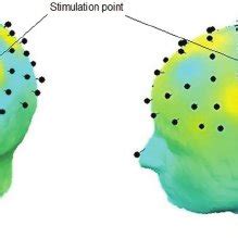 Example Of Spectral EEG Activity Distribution At A Spatial Map A Red Download Scientific