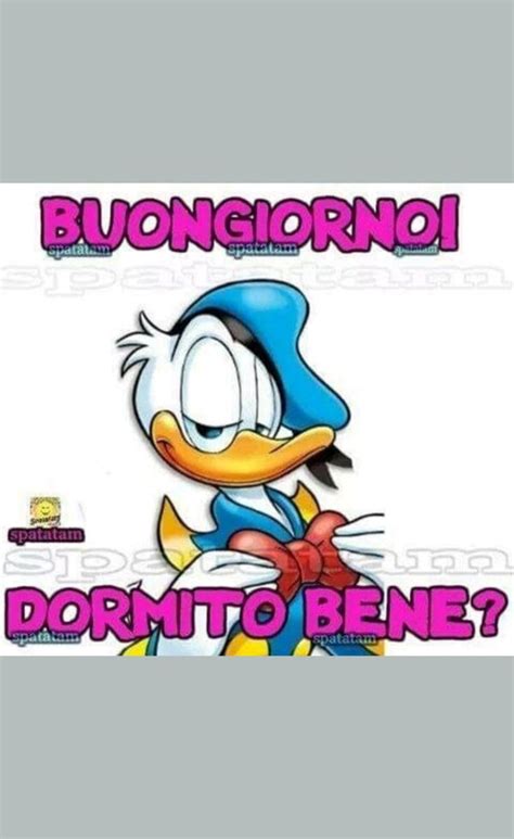 Pin Di Arianna Su I Tuoi Pin Buongiorno Buongiorno Immagini