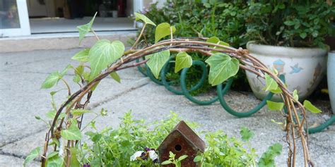 The Best Way To Germinate Vinca Kellywearstlerforsferra Association