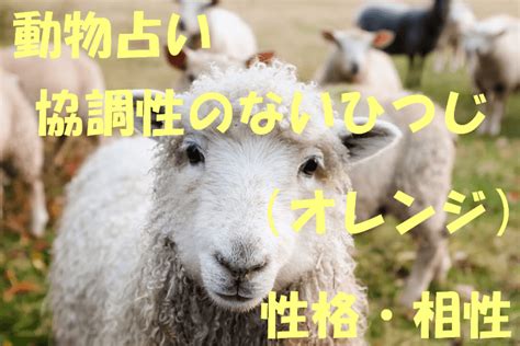 【動物占い】協調性のないひつじ（オレンジ）の性格・相性
