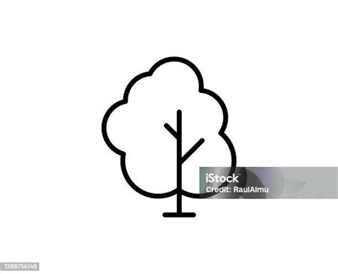 樹線圖示向量圖形及更多pinaceae圖片 Pinaceae 冷杉樹 夏天 Istock