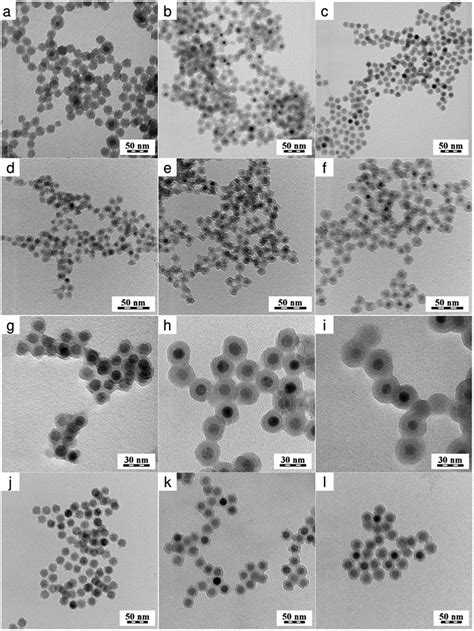 Tem Micrographs Of Fe3o4andsio2 Nanoparticles Prepared From Starting