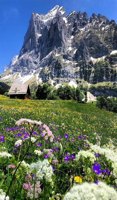 Switzerland Scenery Beautiful Landscapes Beautiful Nature