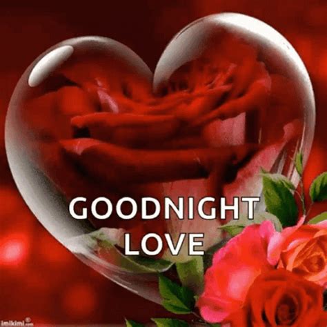 Good Night Flower  Images Download At Joel Morton Blog