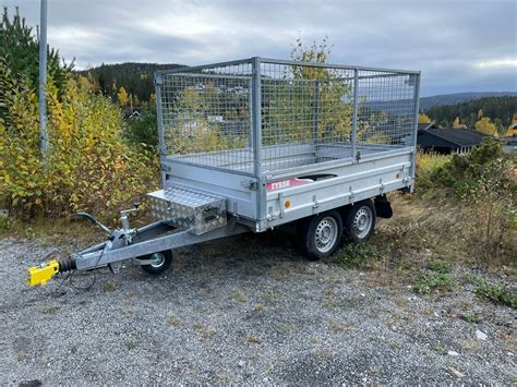 Gitter Henger Til Leie FINN Torget